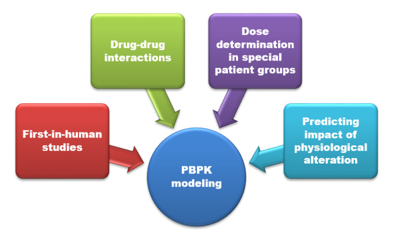 Regulatory Perspective of Physiology based Pharmacokinetic (PBPK ...